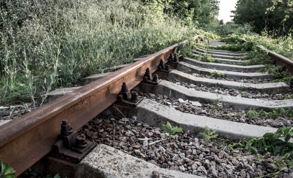 Drzewo na torach paraliżuje komunikację kolejową w Słupsku, pasażerowie ...